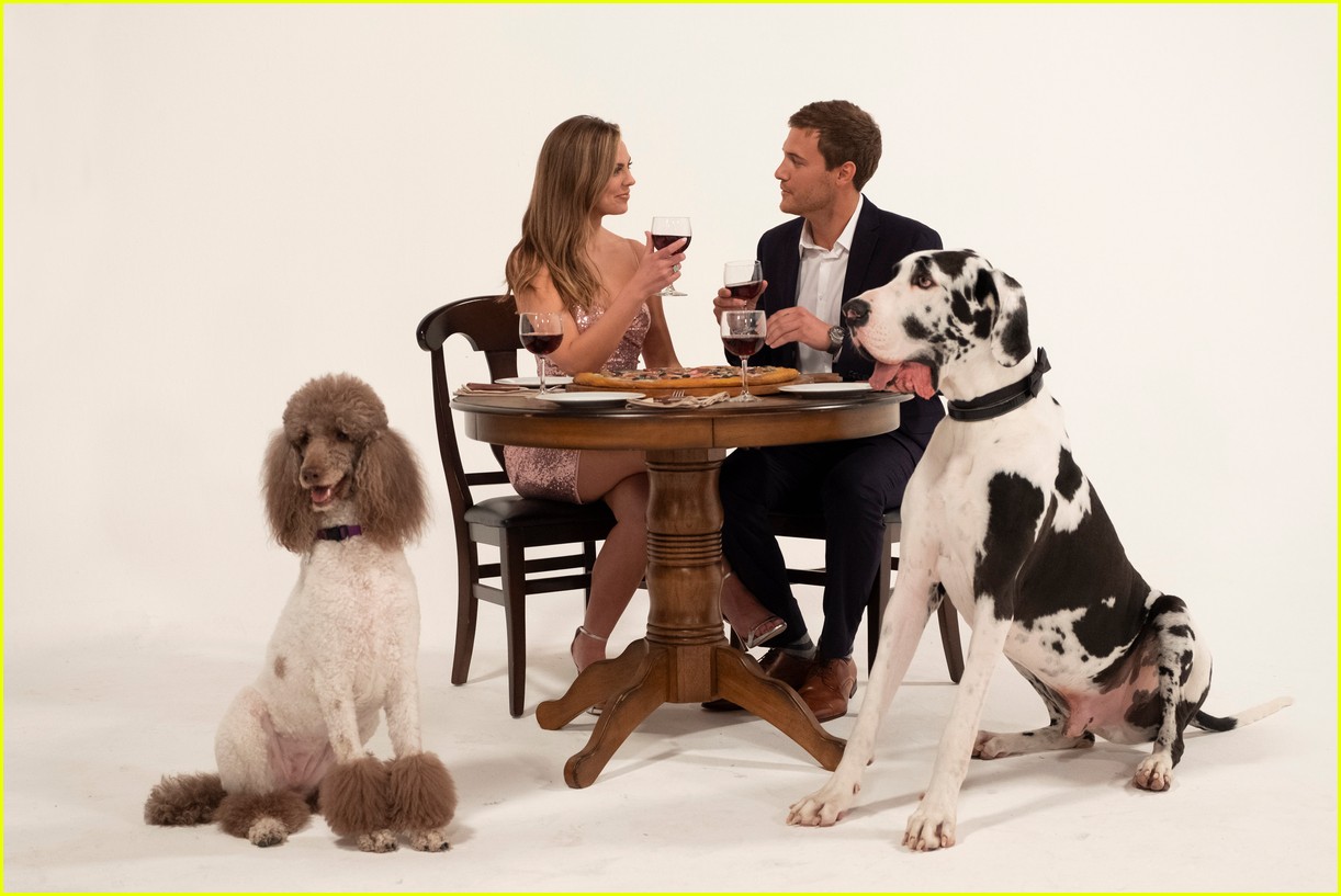 Peter Weber Is The Next 'Bachelor' for 2020's Season 24: Photo 4354627 ...