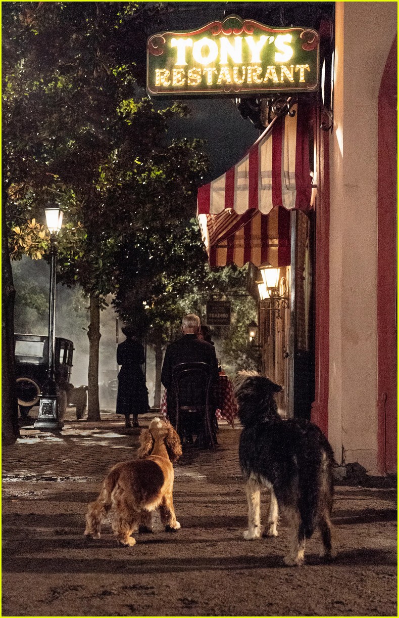 Watch the Iconic 'Lady & The Tramp' Spaghetti Scene from the Live ...