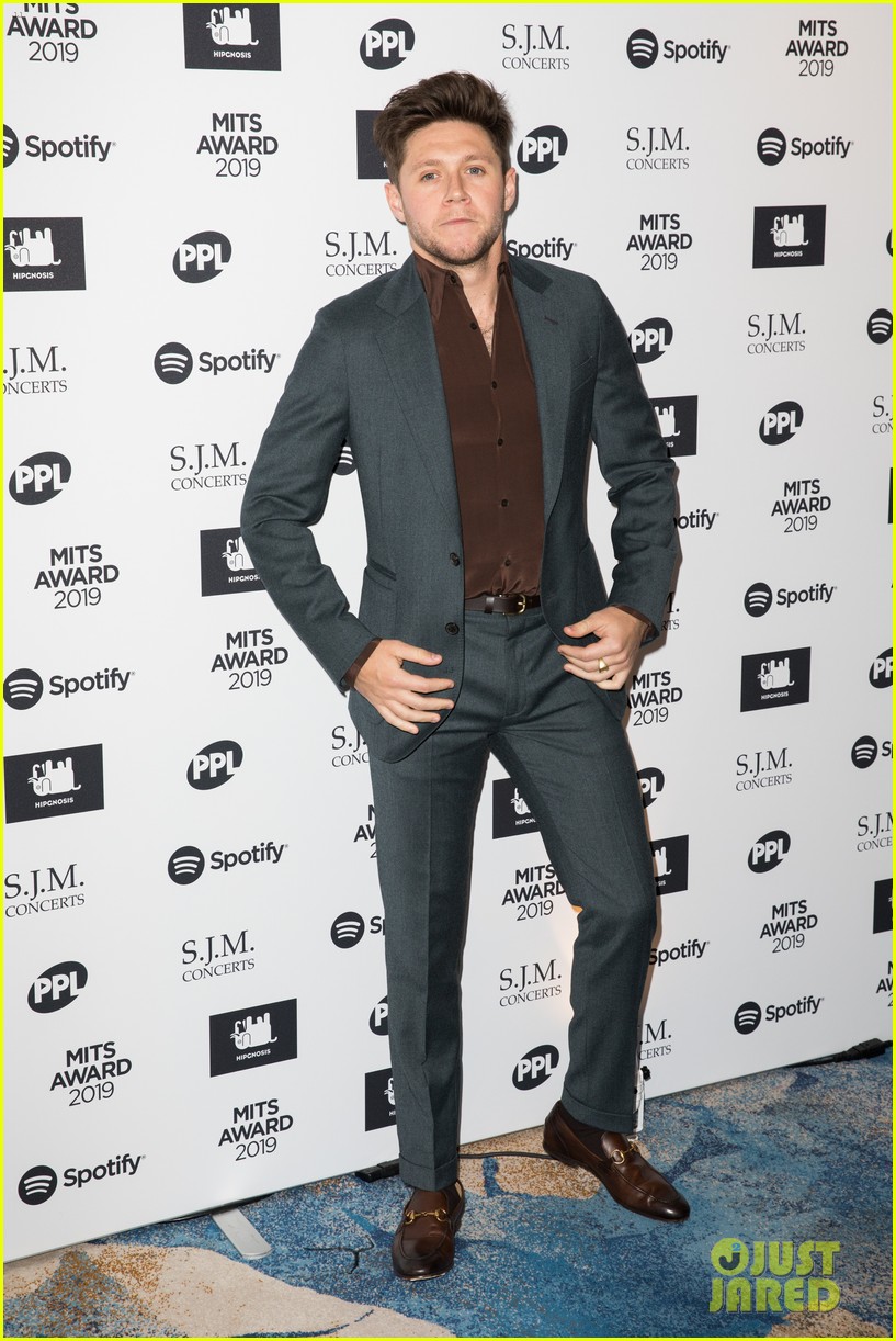 Niall Horan Teases New Song He Wrote with Lewis Capaldi: Photo 4382203 ...