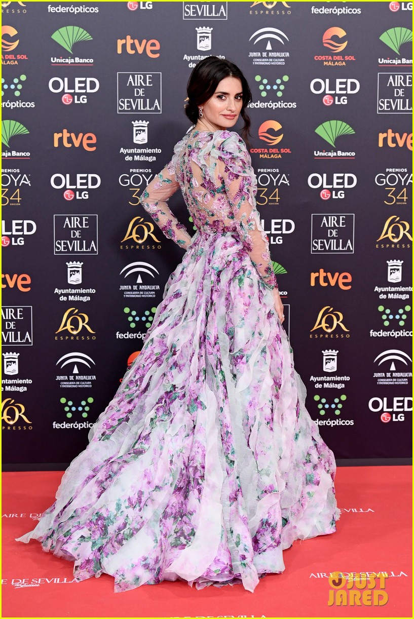 Penelope Cruz Stuns at Goya Awards 2020 with 'Pain & Glory' Team: Photo ...