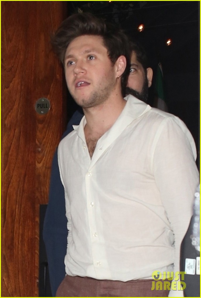 Niall Horan Hits Up the Grammys 2020 After-Parties!: Photo 4424749 | Photos | Just Jared ...