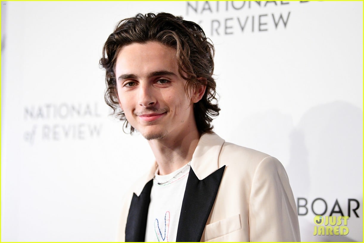 Timothee Chalamet Sports a Goatee For National Board of Review Gala ...