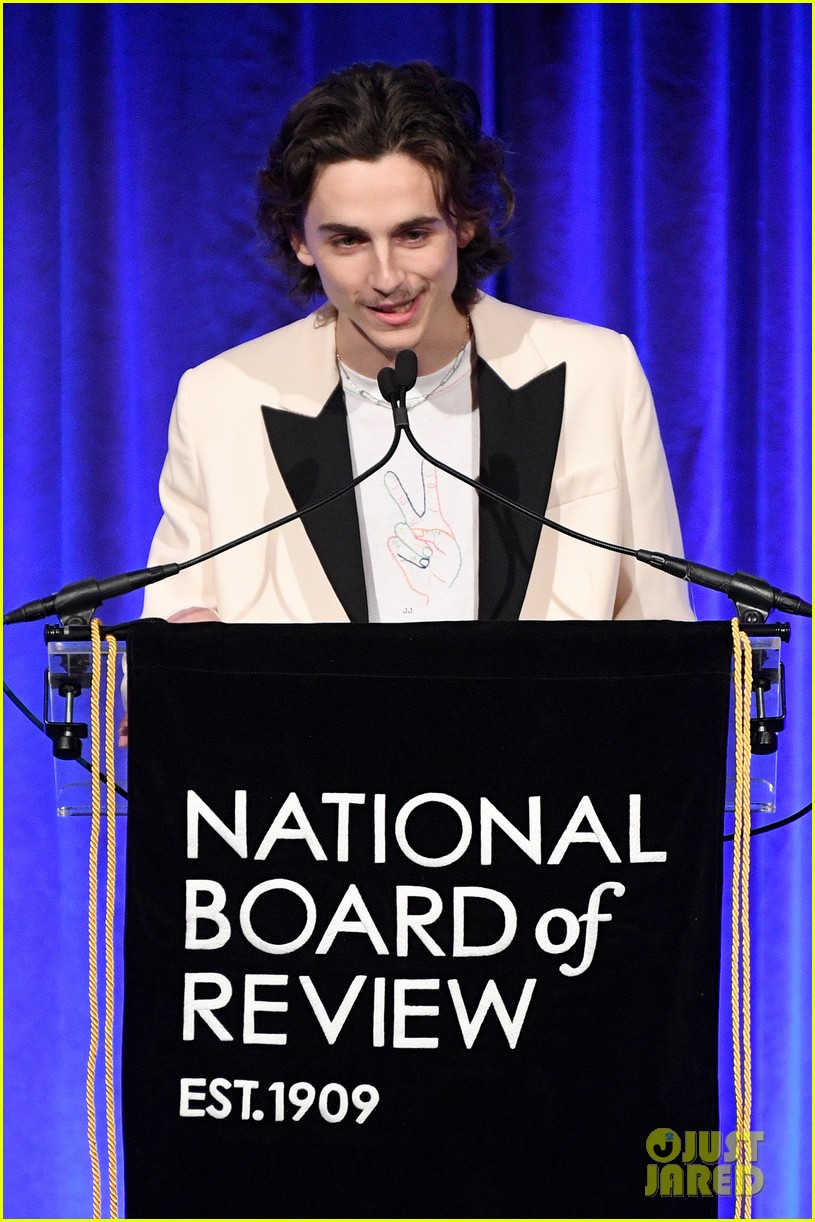 Timothee Chalamet Sports a Goatee For National Board of Review Gala ...