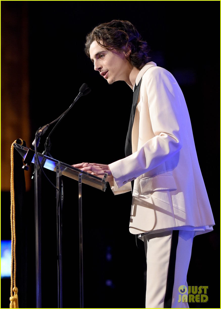 Timothee Chalamet Sports a Goatee For National Board of Review Gala ...