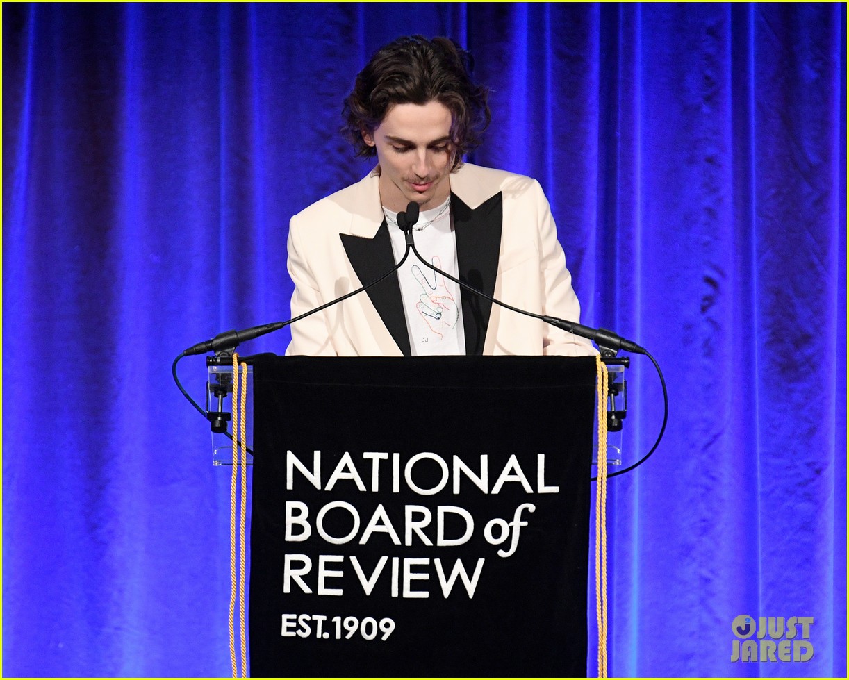 Timothee Chalamet Sports a Goatee For National Board of Review Gala ...