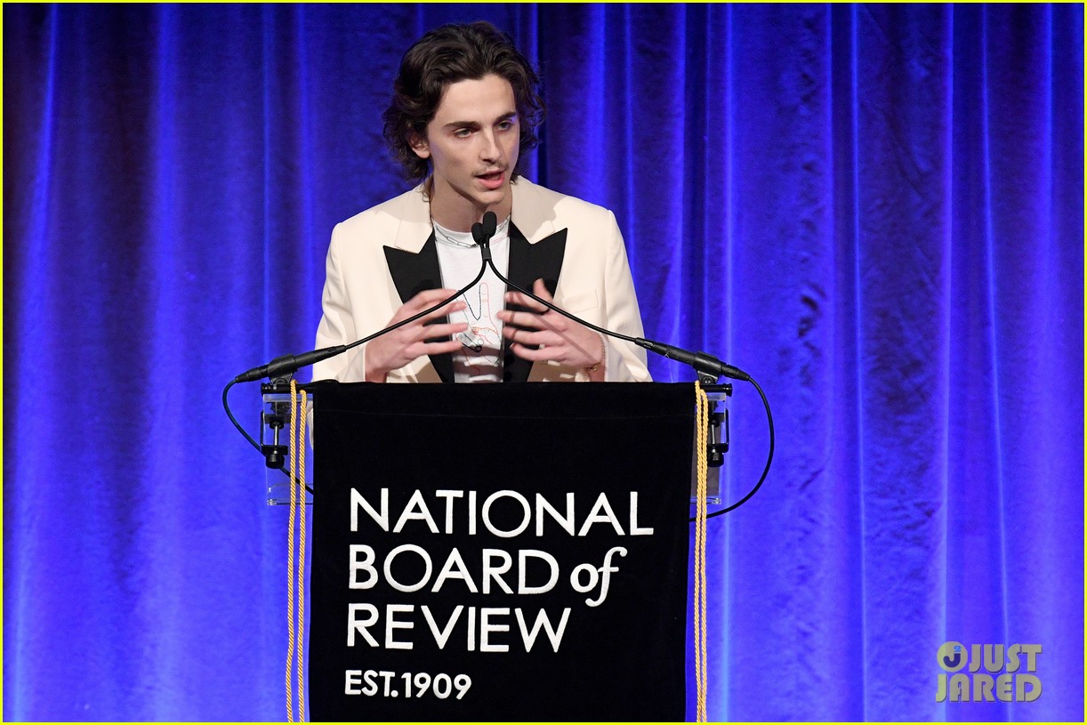 Timothee Chalamet Sports a Goatee For National Board of Review Gala ...