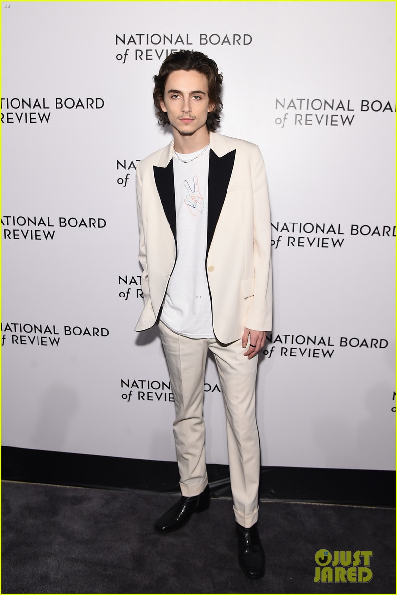 Timothee Chalamet Sports a Goatee For National Board of Review Gala ...