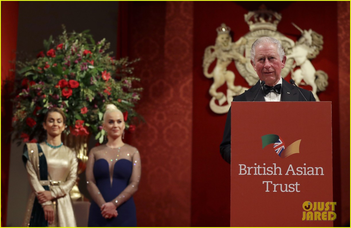 Katy Perry Named British Asian Trust Ambassador by Prince Charles ...
