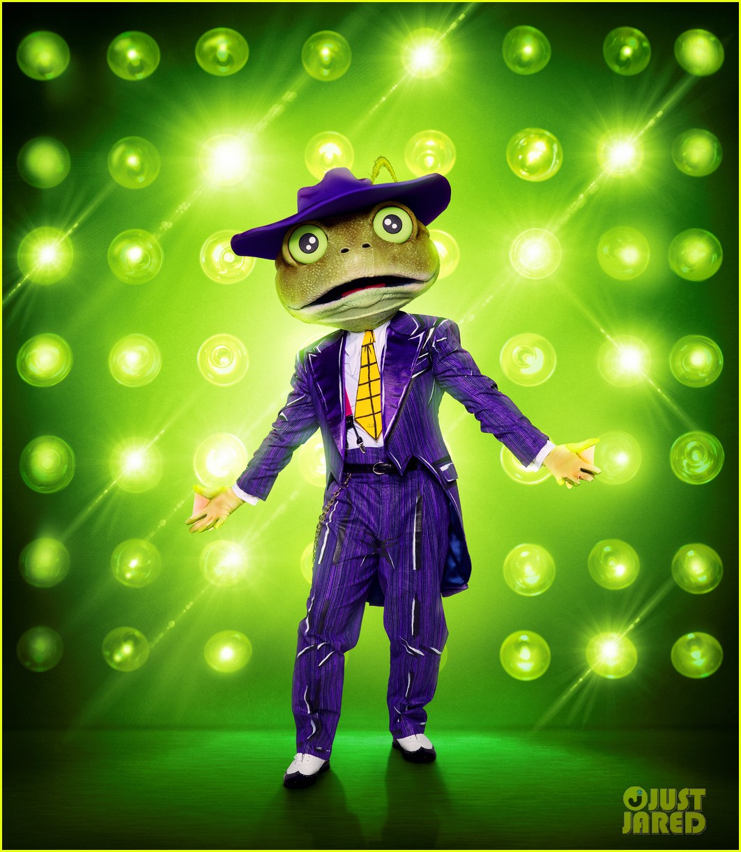 'Masked Singer' 2020 - Meet Contestants, Read Rules & More! : Photo ...