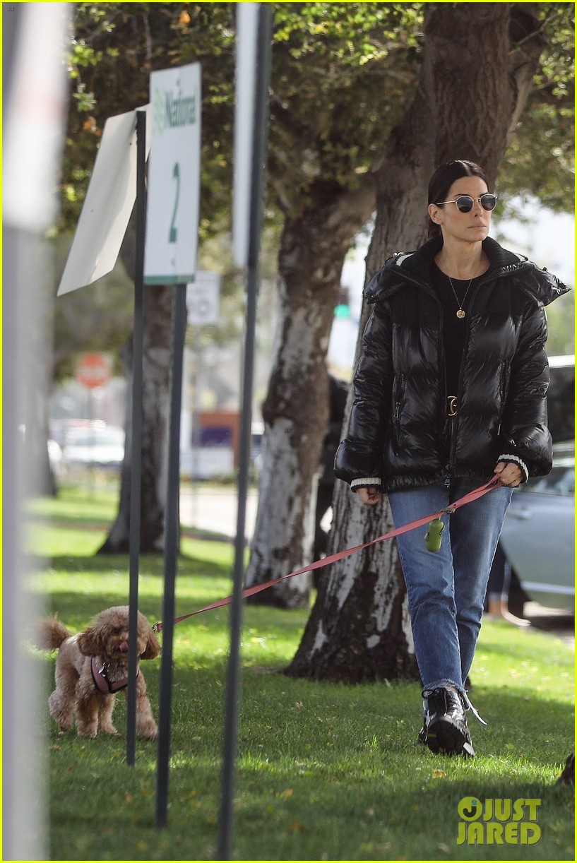 Sandra Bullock Bundles Up While Taking Her Dog for a Walk: Photo ...