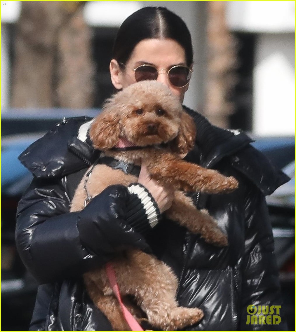 Sandra Bullock Bundles Up While Taking Her Dog for a Walk: Photo ...