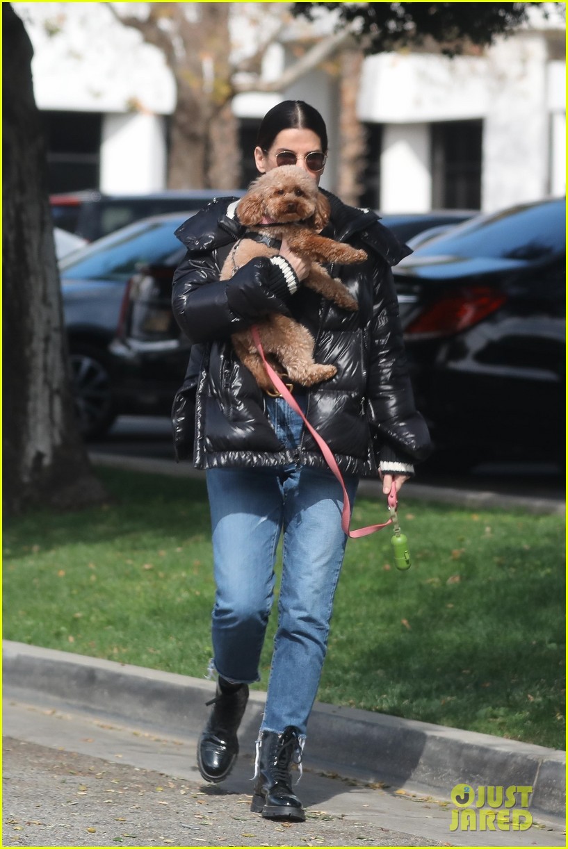 Sandra Bullock Bundles Up While Taking Her Dog for a Walk: Photo ...