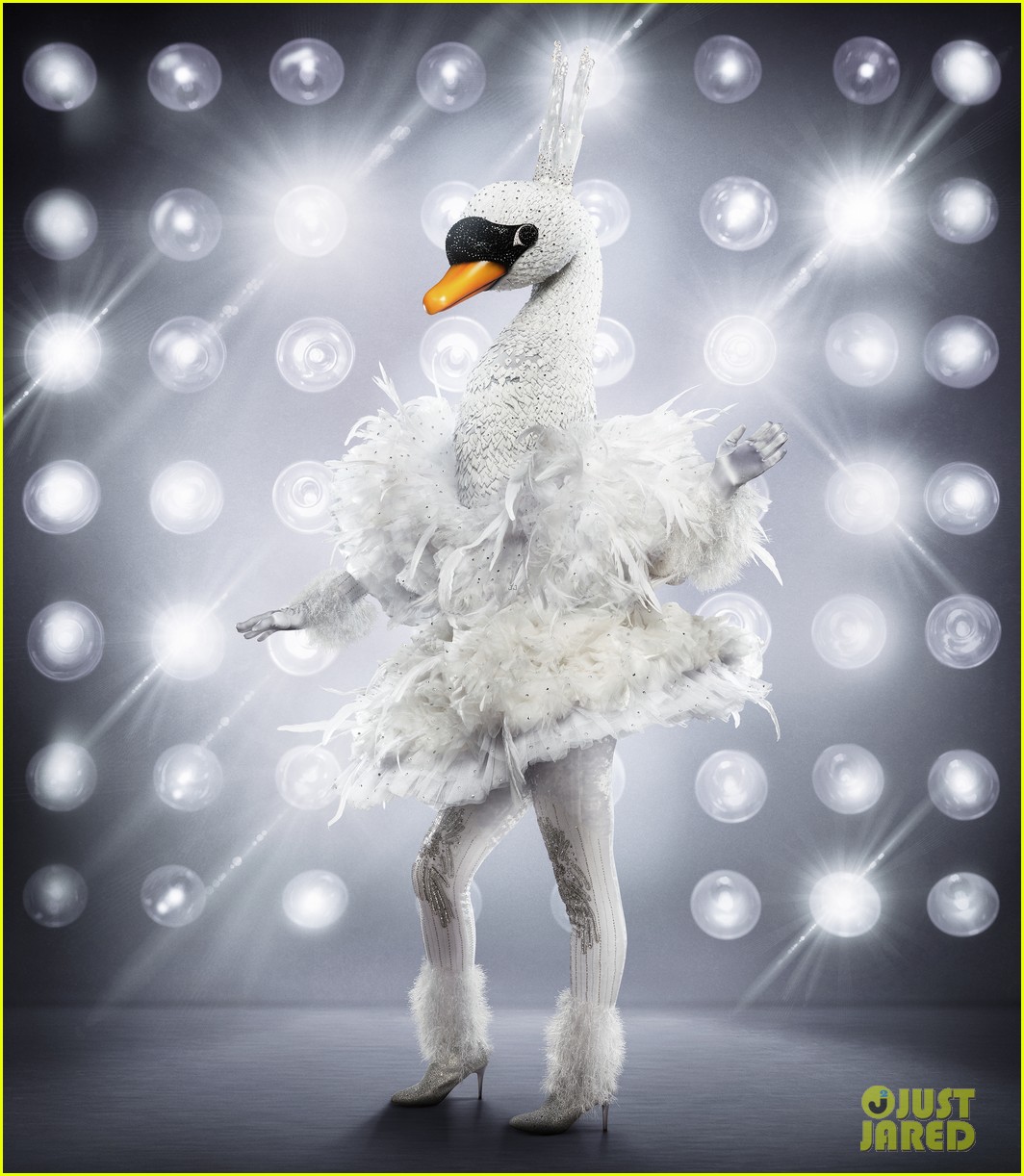 See The Costumes In Group C For 'The Masked Singer' Season Three ...