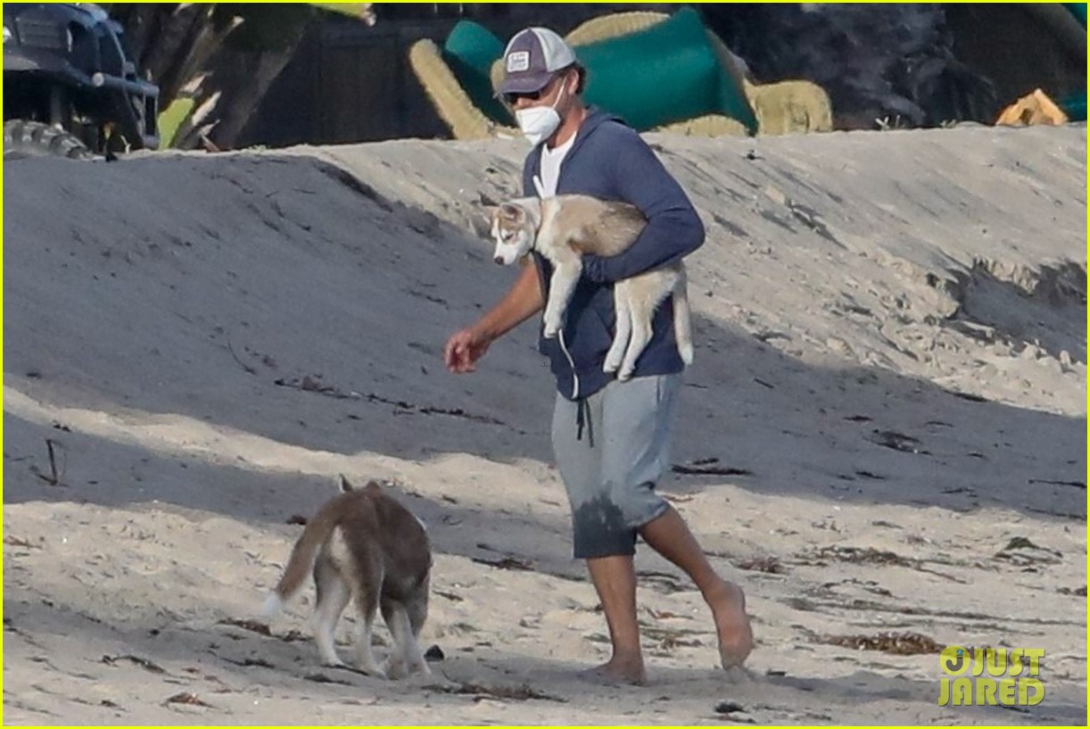 Leonardo DiCaprio Takes Camila Morrone's Foster Dogs Jack & Jill For ...