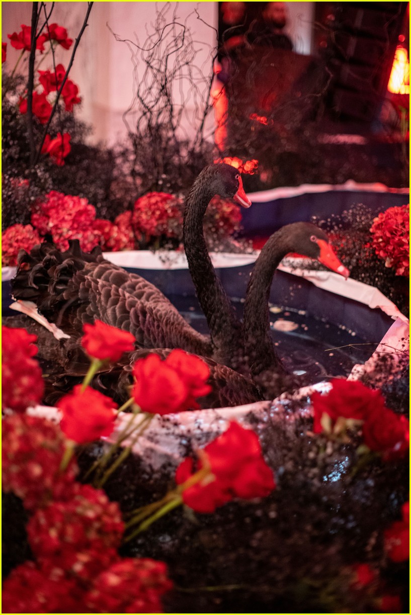 Selling Sunset's Christine Quinn Shares Photos from Her Wedding - See ...