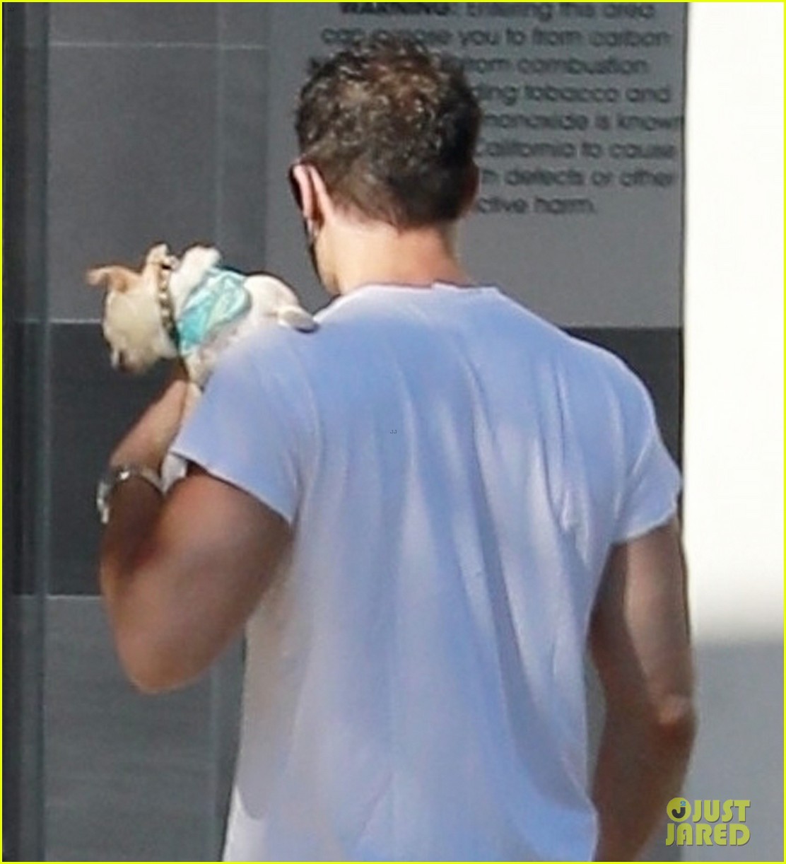 Sofia Vergara & Joe Manganiello Step Out with Their Cute Dog: Photo ...