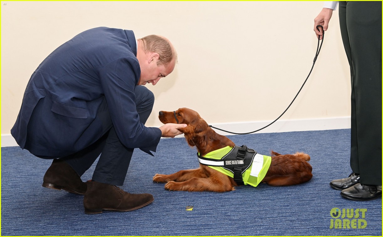 Prince William Falls In Love With PTSD Training Dog During Northern ...