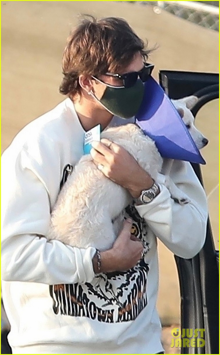 Jacob Elordi Heads To The Vet To Pick Up Kaia Gerber's Pup Milo: Photo ...
