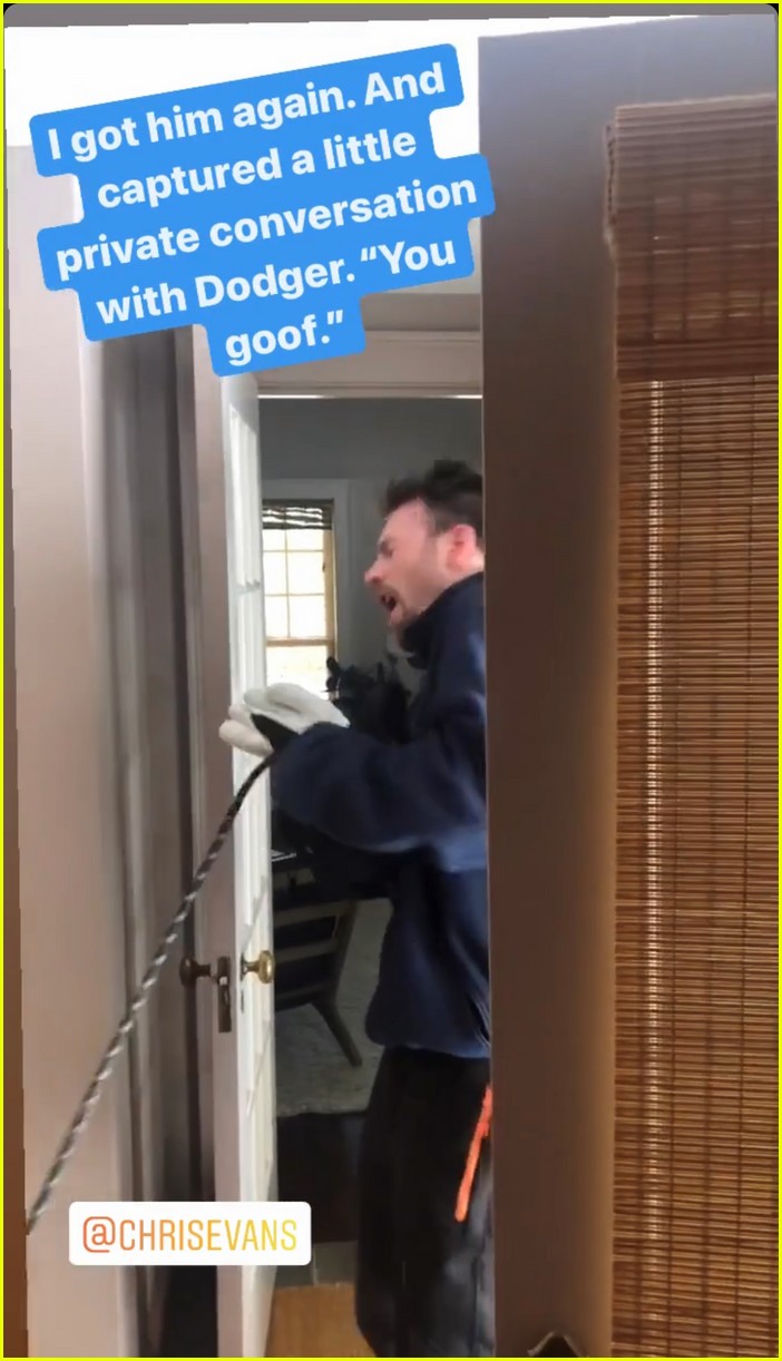 Scott Evans Hilariously Catches Brother Chris Evans Talking to His Dog ...