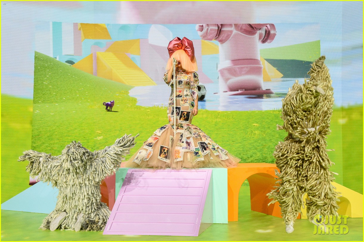 Sia's 'Hey Boy' Performance Is an Ode to Dogs at MTV Movie & TV Awards ...