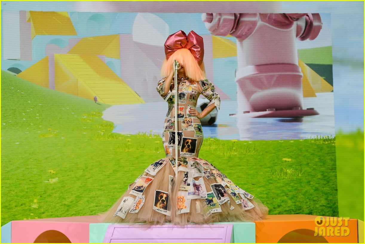 Sia's 'Hey Boy' Performance Is an Ode to Dogs at MTV Movie & TV Awards ...