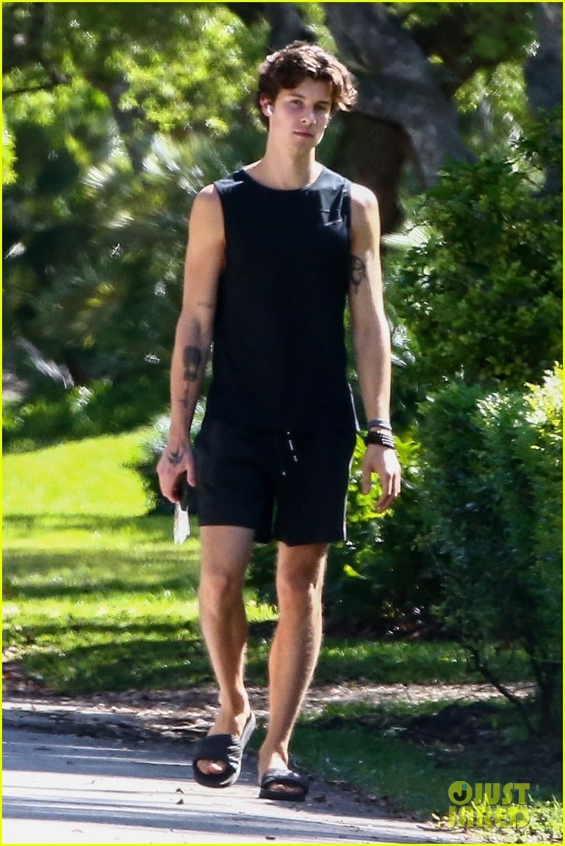 Shawn Mendes Goes for a Walk While Camila Cabello Hangs Back at Home ...
