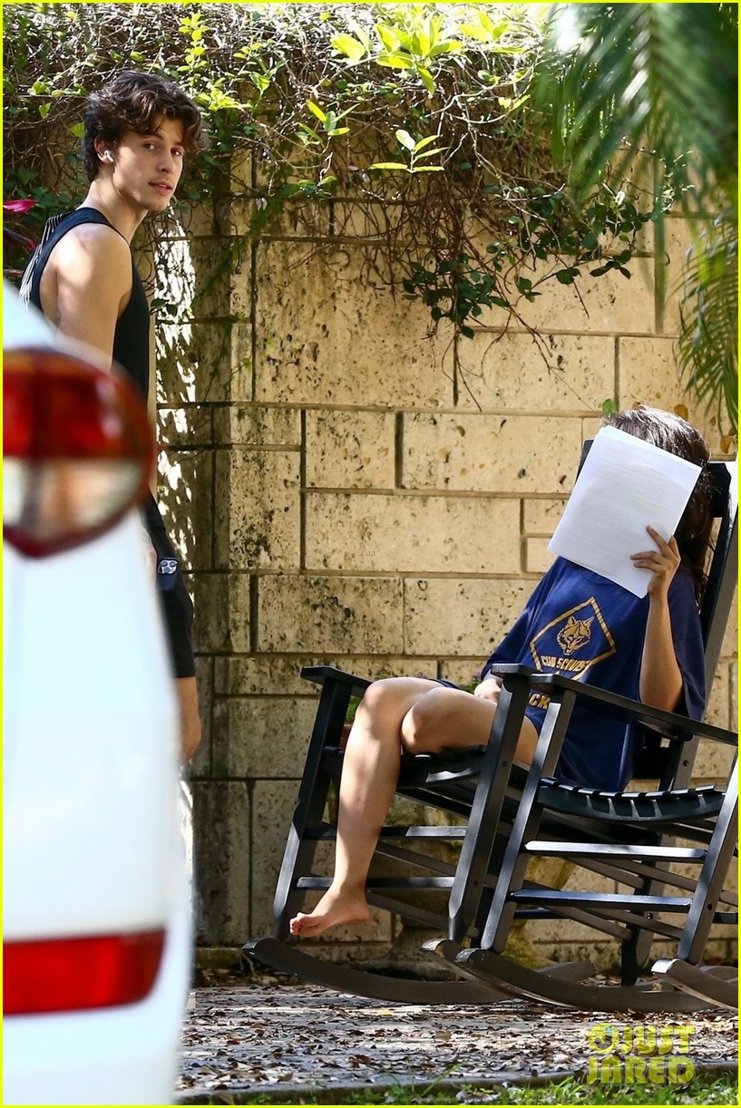 Shawn Mendes Goes for a Walk While Camila Cabello Hangs Back at Home ...