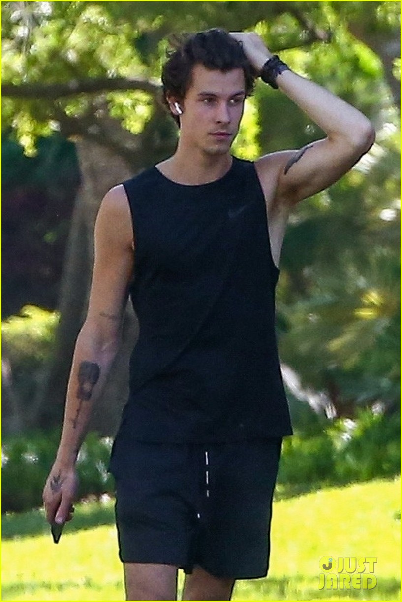 Shawn Mendes Goes for a Walk While Camila Cabello Hangs Back at Home ...