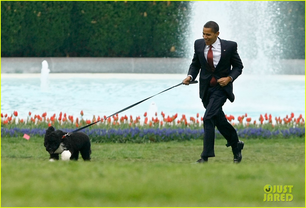 Barack & Michelle Obama Mourn the Death of Their Dog Bo - Read Their ...