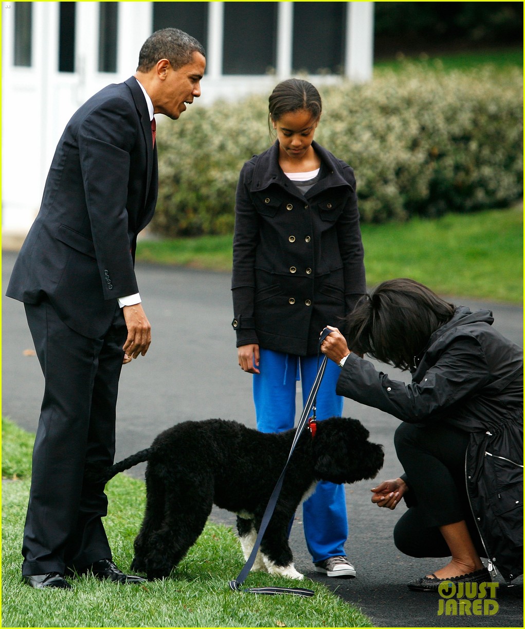 Barack & Michelle Obama Mourn the Death of Their Dog Bo - Read Their ...
