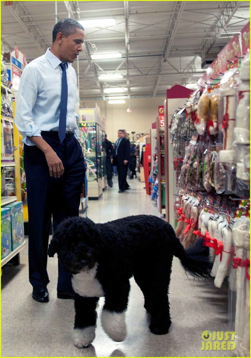 Barack & Michelle Obama Mourn the Death of Their Dog Bo - Read Their ...