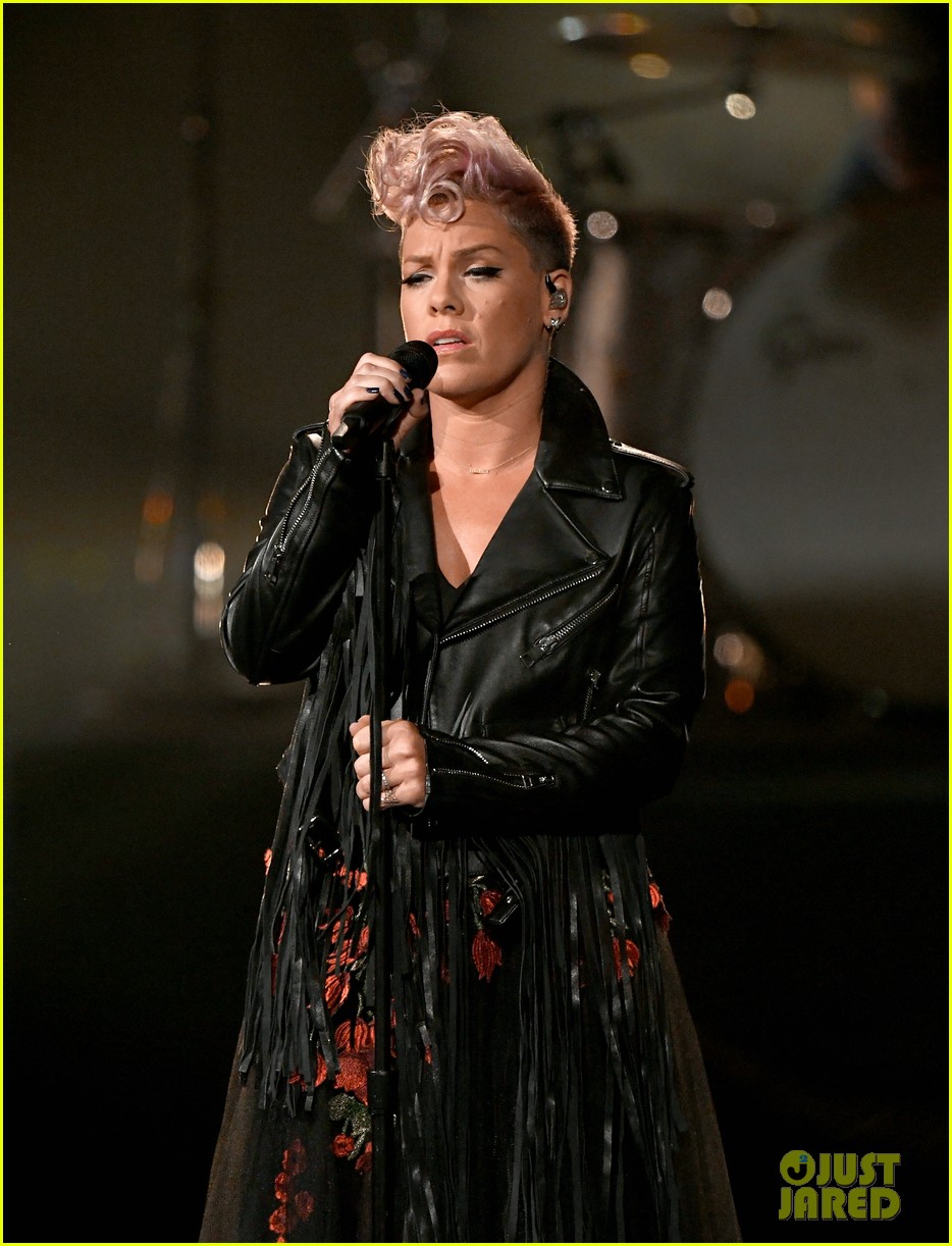 How Much Is Pink Worth? Net Worth Revealed!: Photo 4553304 | Pink ...