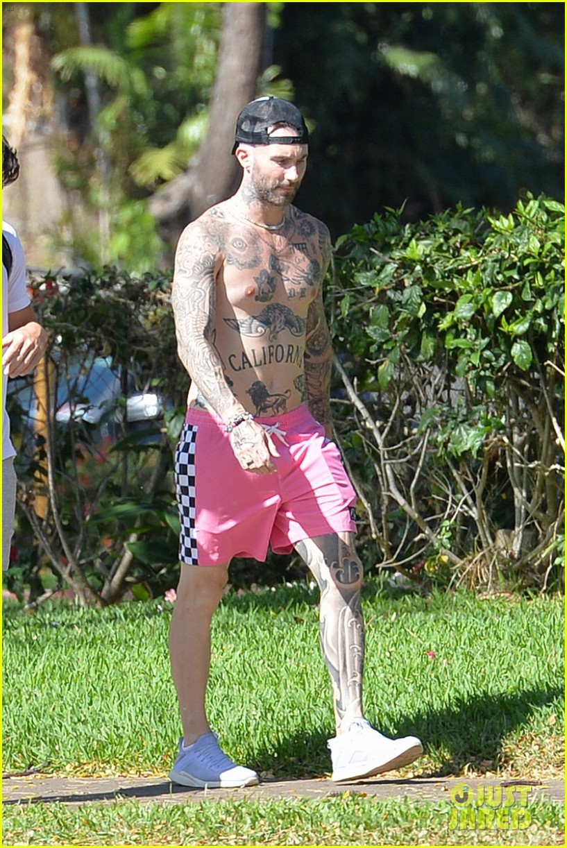 Eric Christian Olsen Shirtless