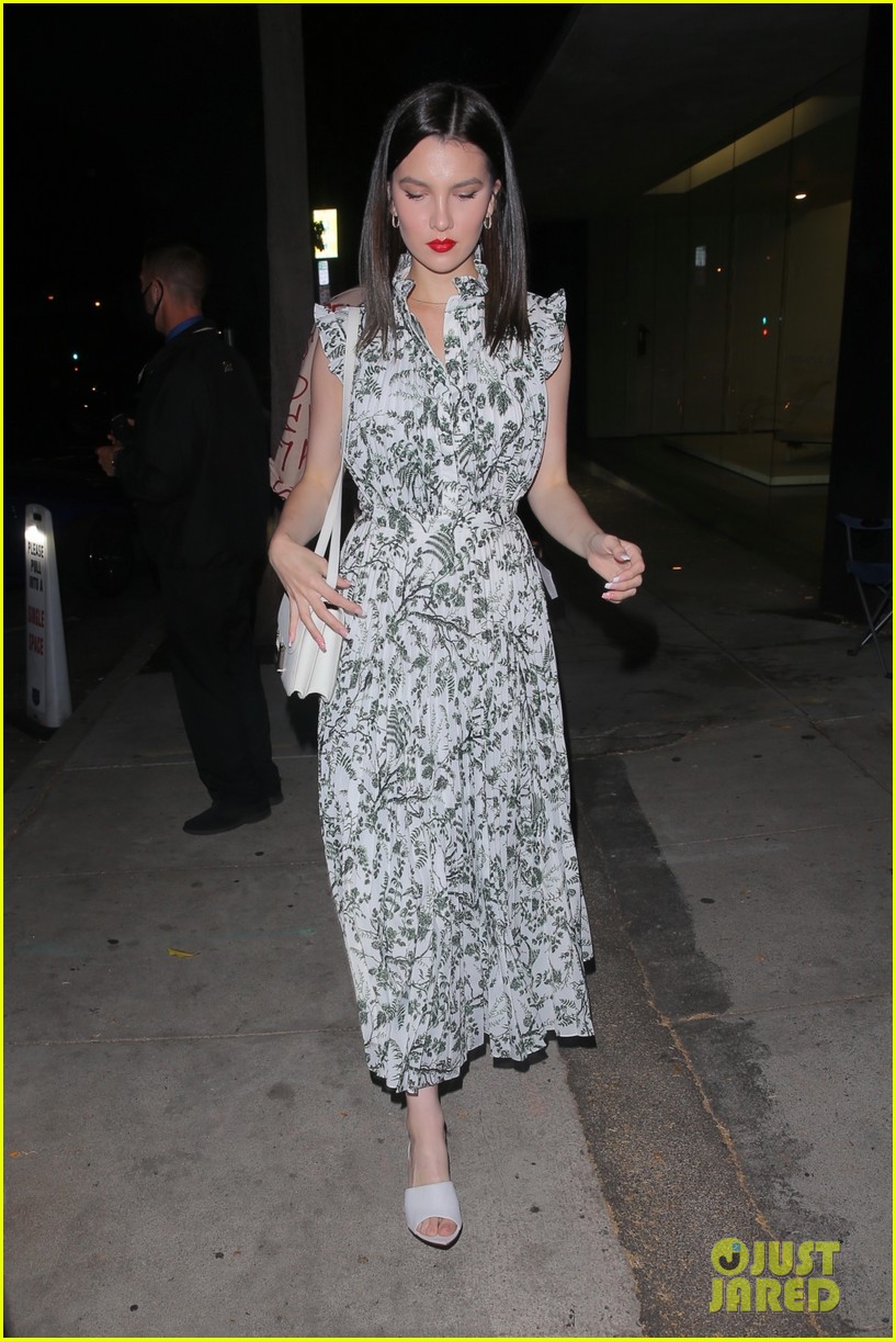 Maya Henry Steps Out for the First Time Since Liam Payne Split, Not ...