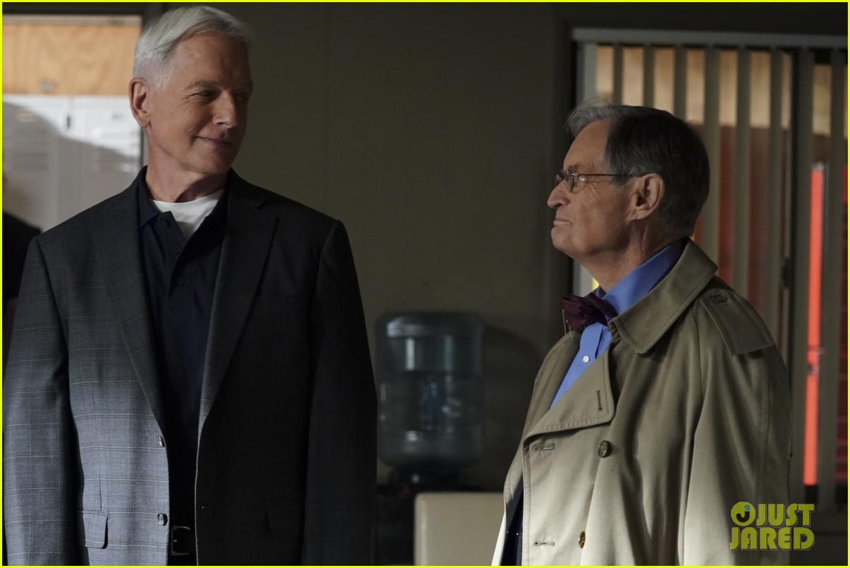 Mark Harmon Might Only Appear In A Few Episodes For 'NCIS' Season 19 ...