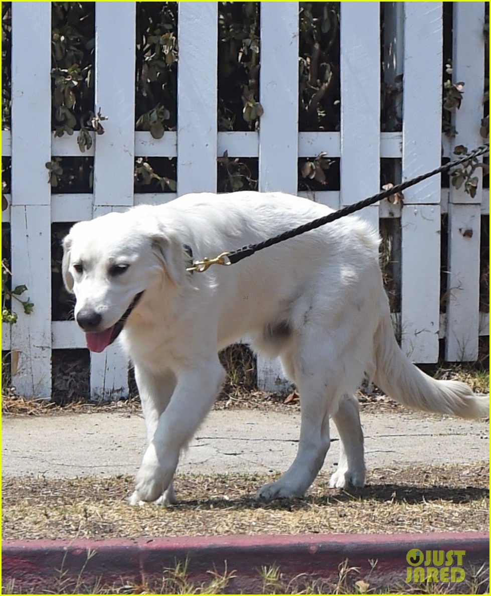 Silicon Valley's Chris Diamantopoulos Bares Ripped Body During a ...