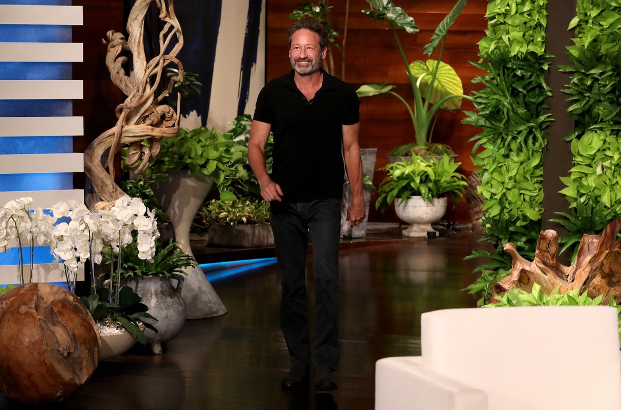 David Duchovny Auditioned For All The Lead Roles On This Sitcom & Didn ...