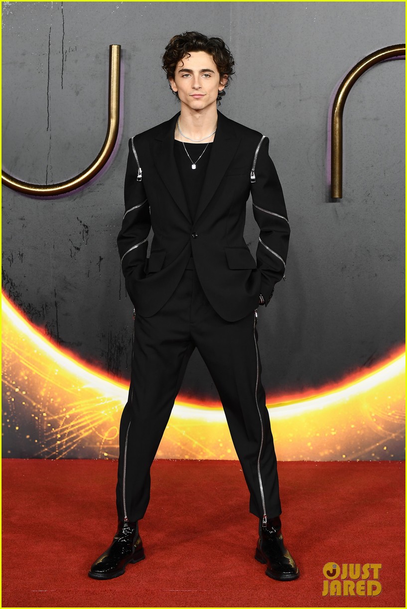 Timothee Chalamet Once Had A YouTube Channel Where He Modified Game ...