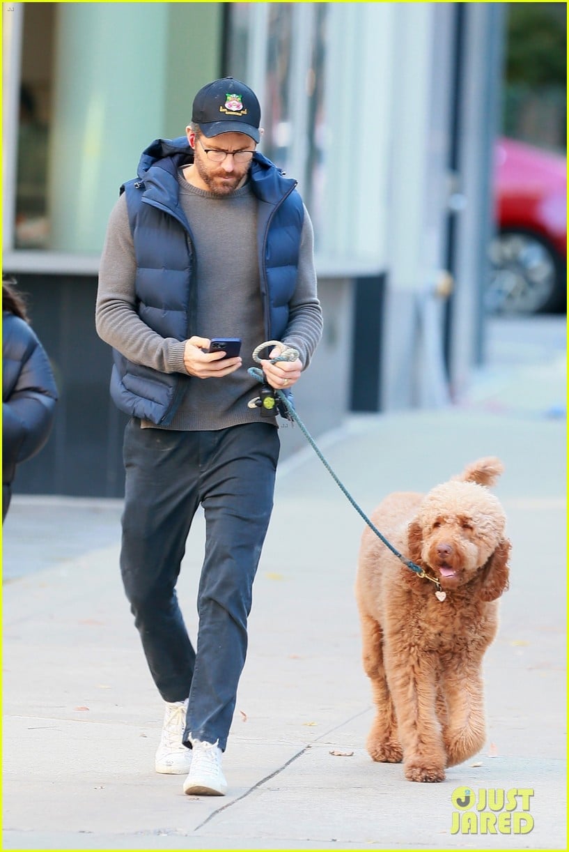 Ryan Reynolds Shows Off His Cool Fall Fashion While Taking His Dog for ...