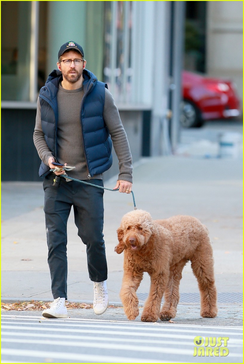 Ryan Reynolds Shows Off His Cool Fall Fashion While Taking His Dog for ...