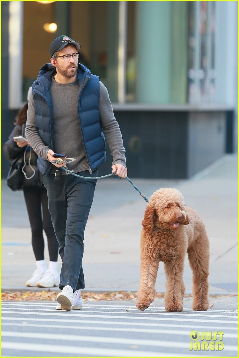 Ryan Reynolds Shows Off His Cool Fall Fashion While Taking His Dog for ...