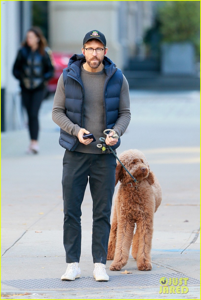 Ryan Reynolds Shows Off His Cool Fall Fashion While Taking His Dog for ...