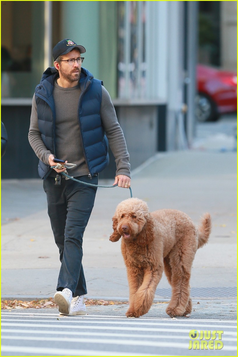 Ryan Reynolds Shows Off His Cool Fall Fashion While Taking His Dog for ...