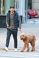 Ryan Reynolds Shows Off His Cool Fall Fashion While Taking His Dog for ...