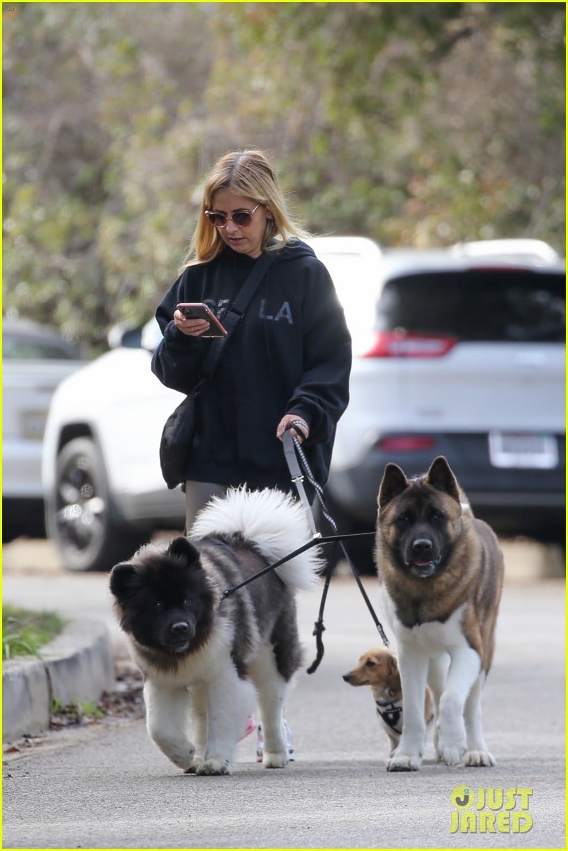 Sarah Michelle Gellar Takes Her Dogs for Afternoon Walk Around the ...