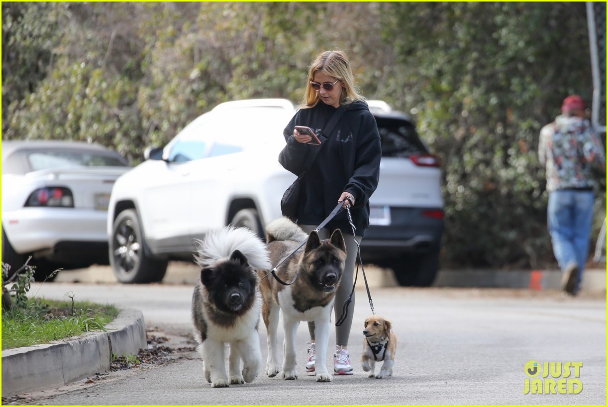 Sarah Michelle Gellar Takes Her Dogs for Afternoon Walk Around the ...