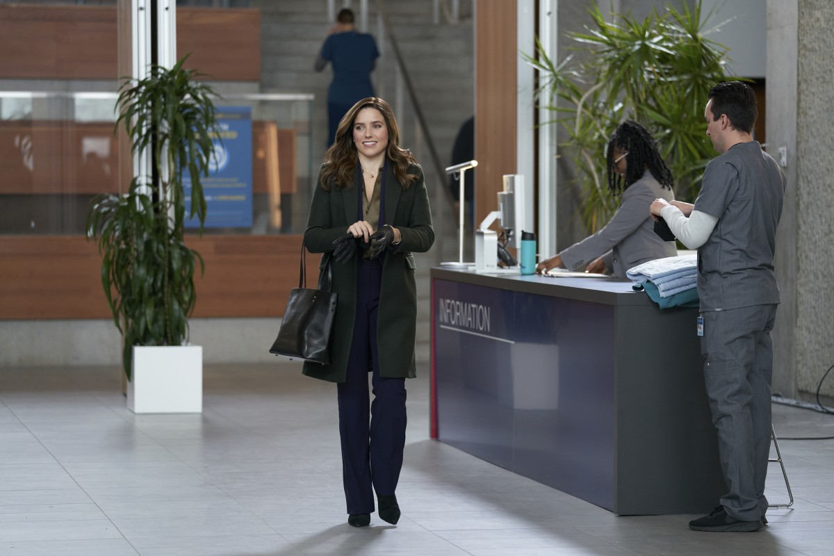 Meet The Full Cast of CBS's New Medical Drama Series 'Good Sam': Photo 4686551 | Michael Stahl ...