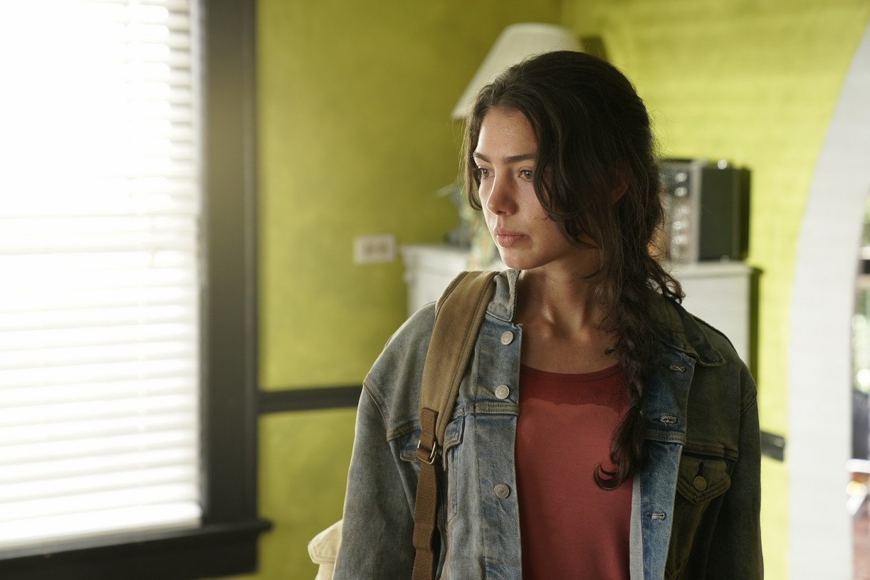 'Promised Land' Premieres on ABC Tonight - Meet The Full Cast Now ...