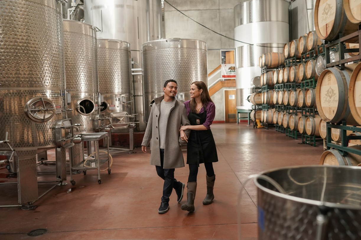 'Promised Land' Premieres on ABC Tonight - Meet The Full Cast Now ...