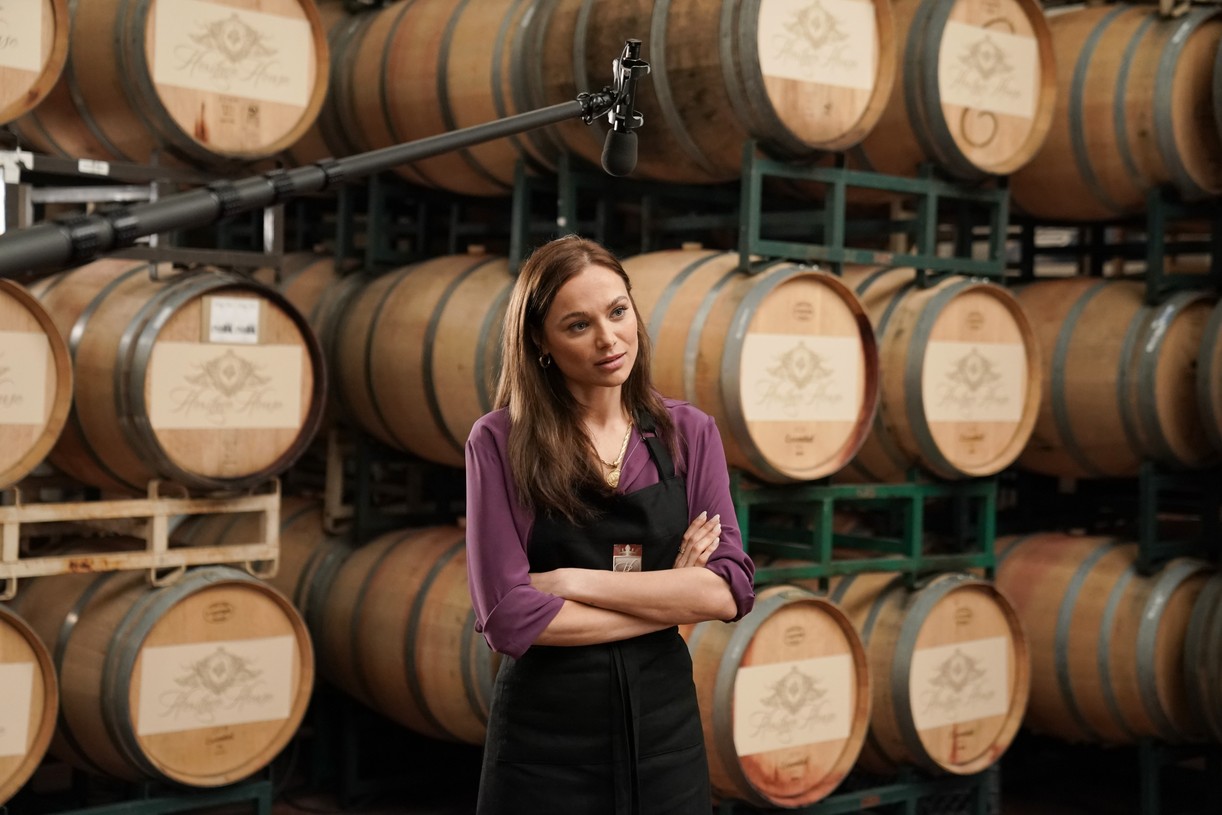 'Promised Land' Premieres on ABC Tonight - Meet The Full Cast Now ...